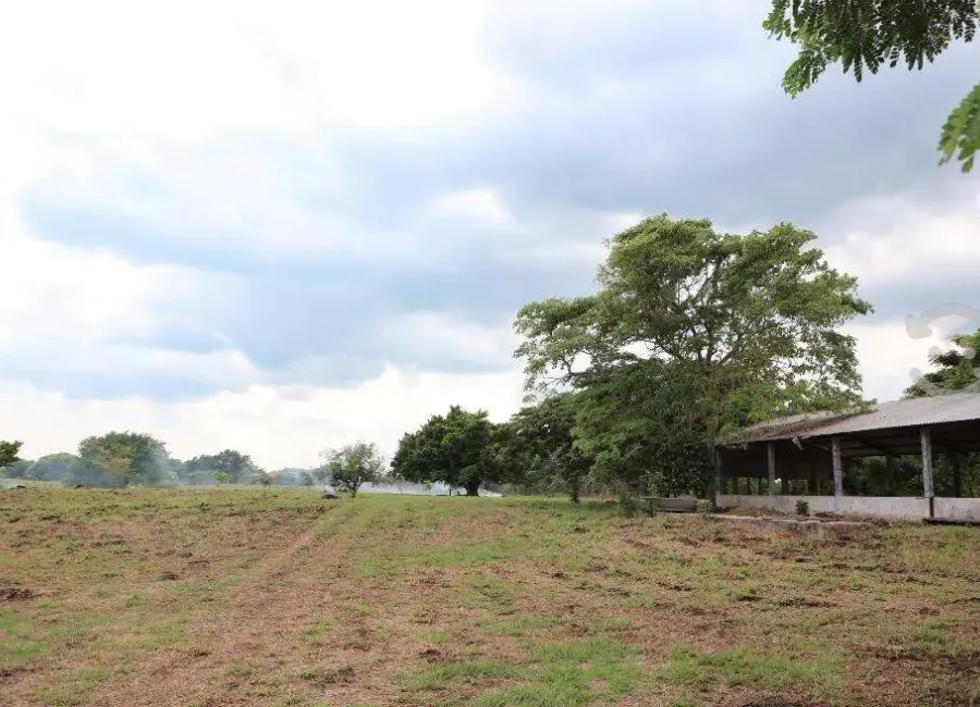 Venta de rancho ubicado en coronel traconis cerca del aeropuerto ...