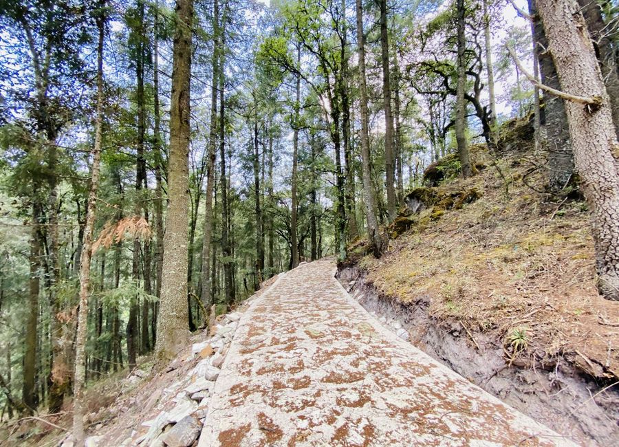 ¡CONSTRUYE TU CABAÑA DE ENSUEÑO EN MONTE REAL LAS FLORES! | Lamudi.com.mx