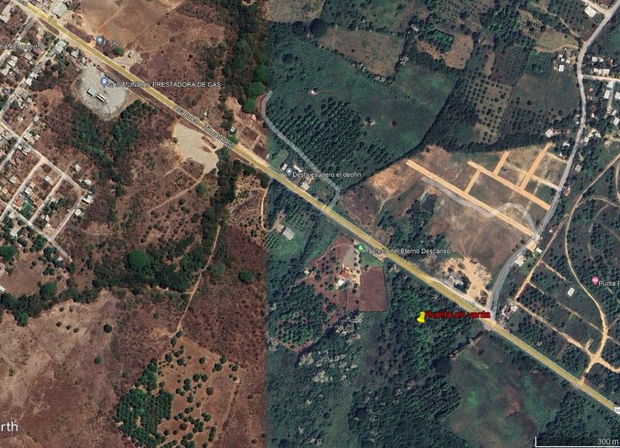 Parcela en Venta en el poblado de El Coacoyul, municipio de Zihuatanejo ...