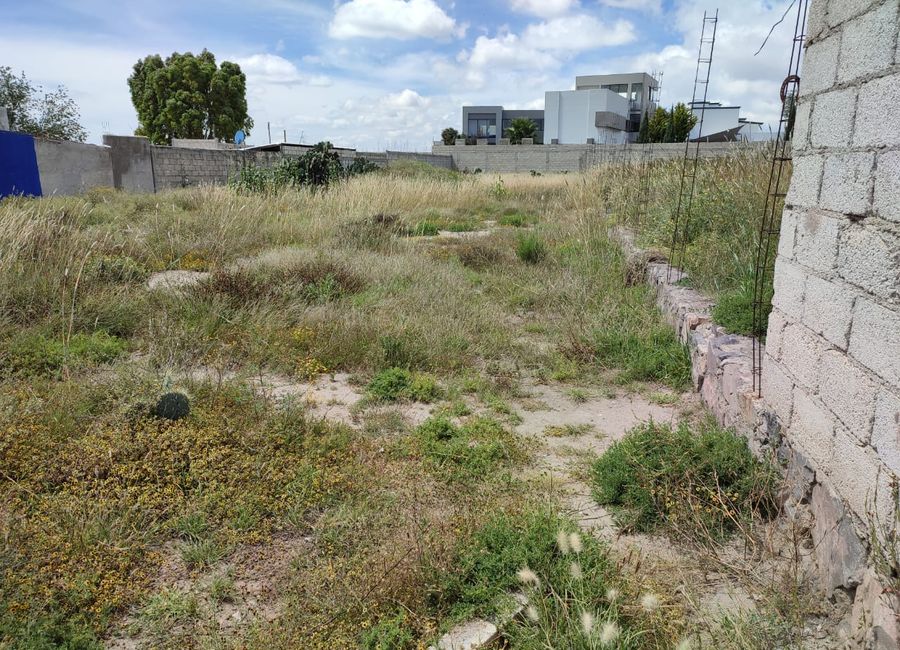 TERRENO EN VENTA “AMAQUE -PACHUQUILLA” | Lamudi.com.mx